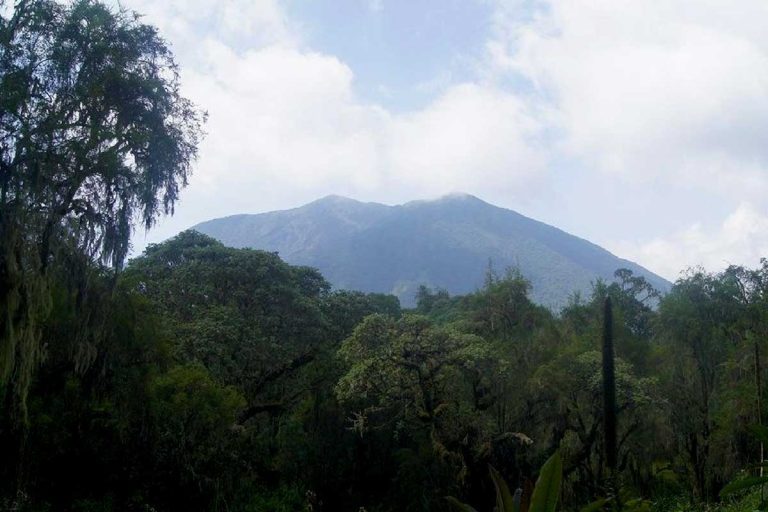 2 Days Rwanda Mount Bisoke Hiking Tour up to the Crater Lake